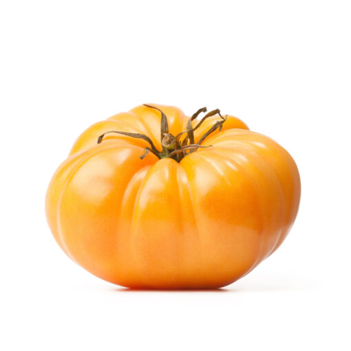 Organic Valencia Tomato Seedlings | Tower Garden Valencia Tomato ...