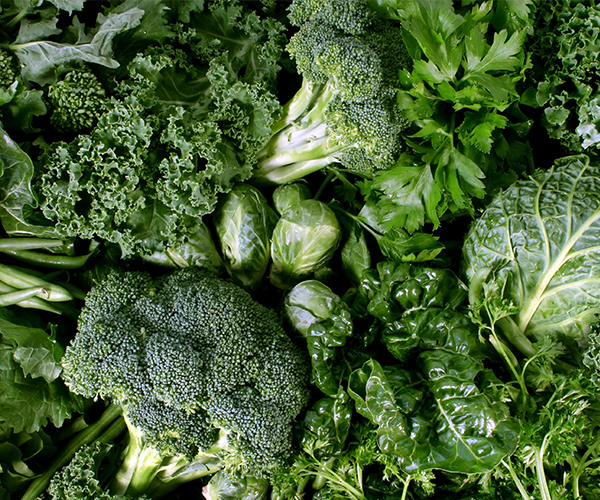 Tower Garden | Aeroponic Seedlings | Aeroponics | Tower Farm