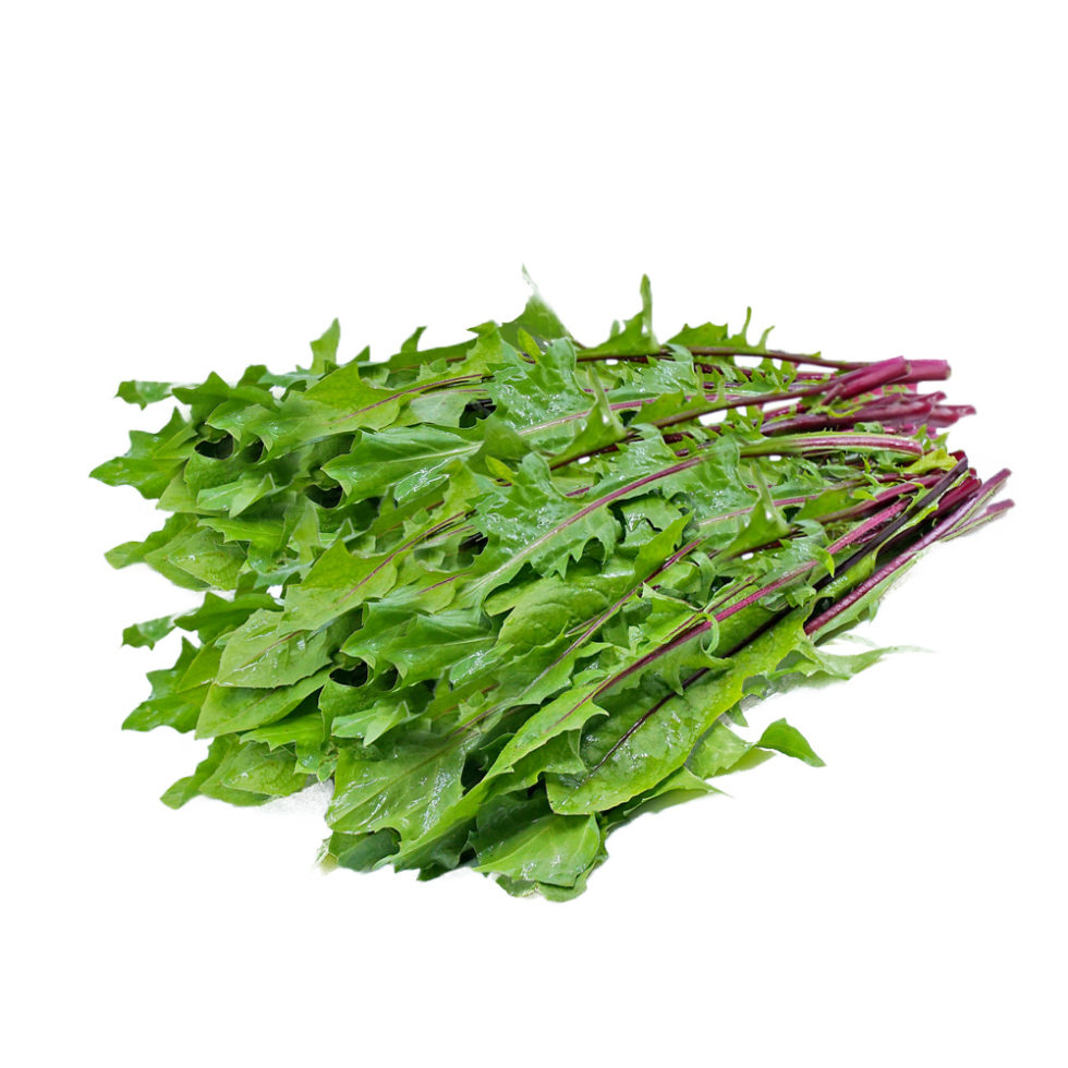 Organic Dandelion Seedlings | Tower Garden Dandelion | Aeroponic ...