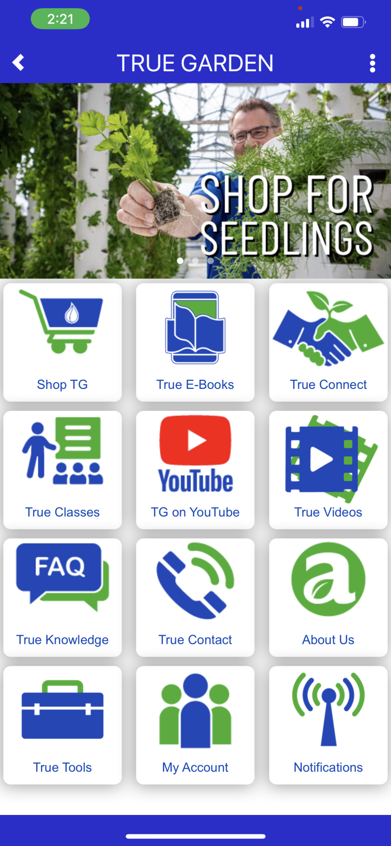 Aeroponic Seedlings for Sale | Buy Vegetable Seedlings | Herb Seedlings ...