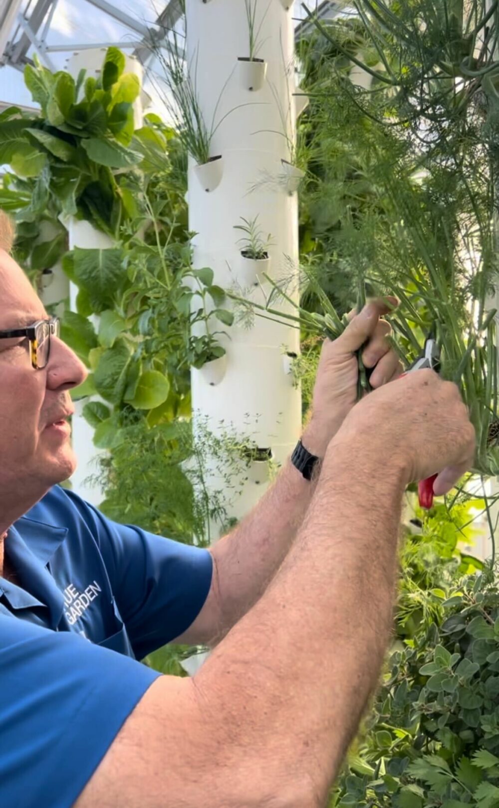 Herb Tower | True Garden